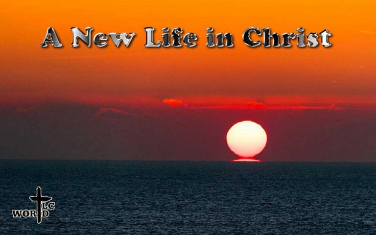 在基督里的新生命 – The Little Church World